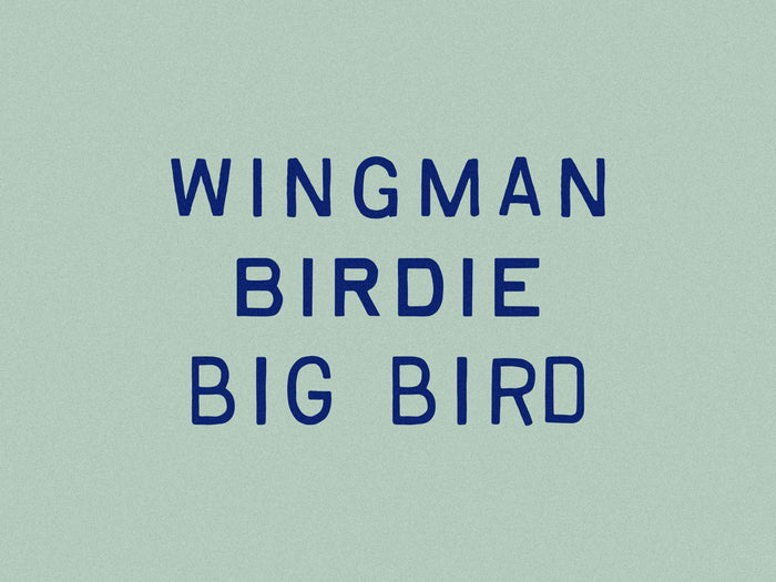 Flight Bundle – Taylor Penton